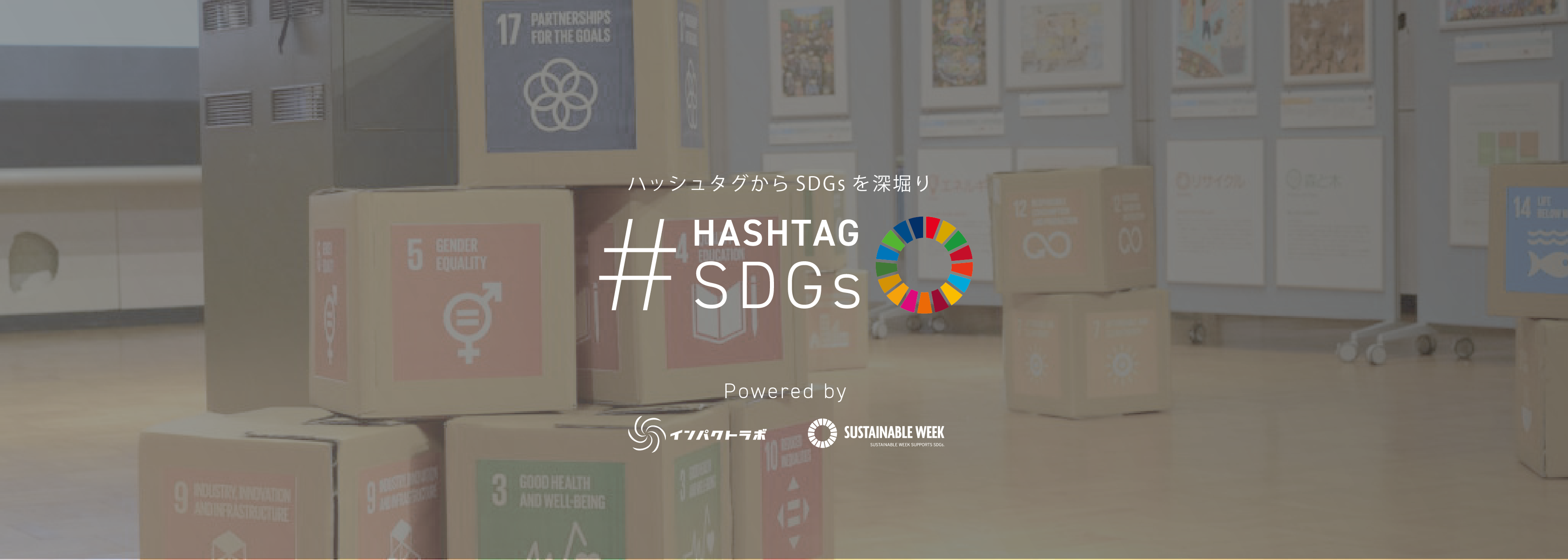ABOUT│HASHTAG SDGs